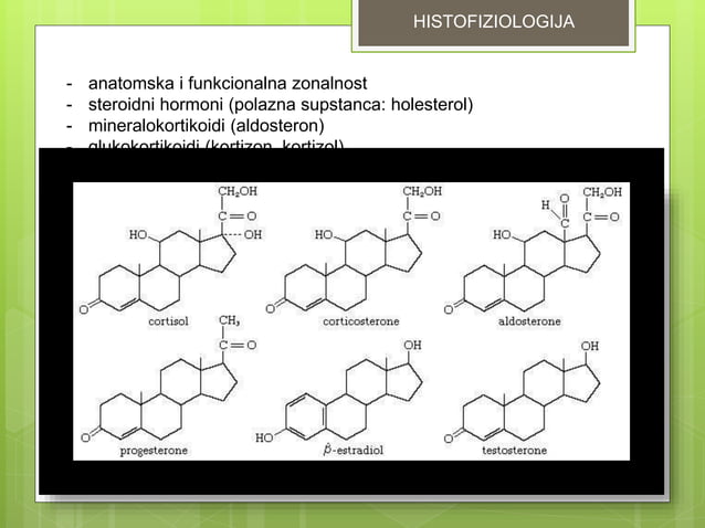 Poremećaji funkcije nadbubrežne žlijezde | PPT