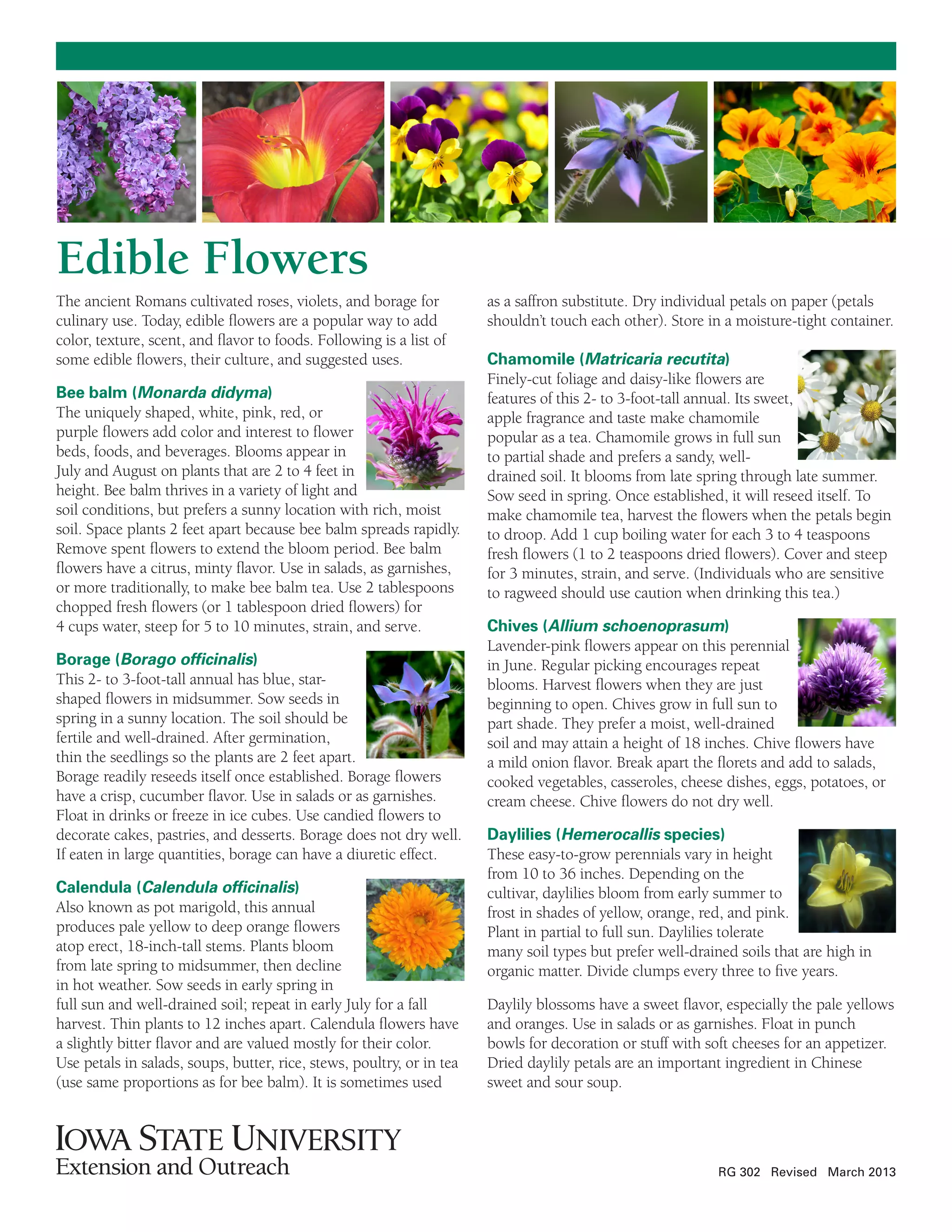 Edible Flowers: A Guide | PDF