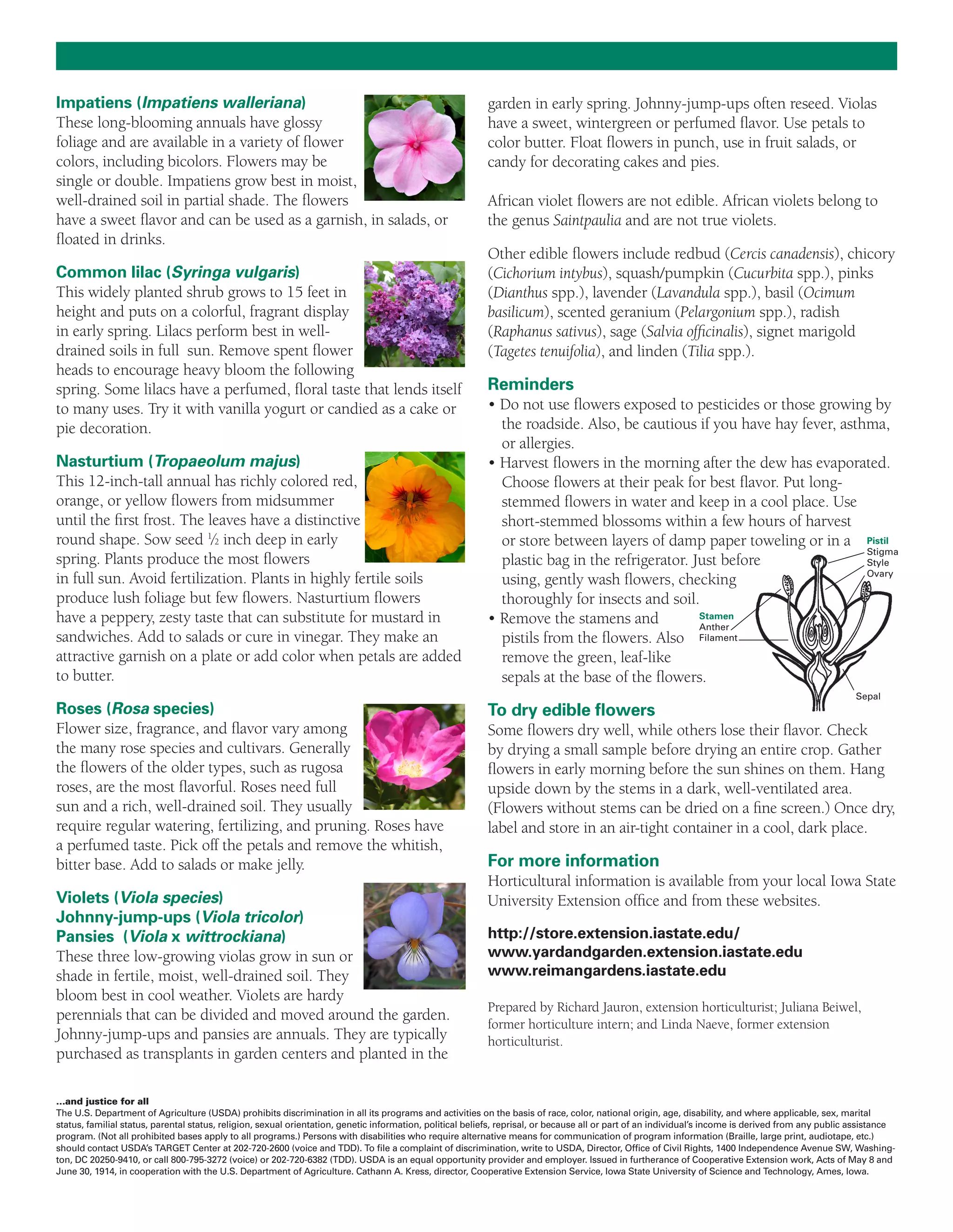 Edible Flowers: A Guide | PDF