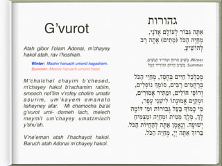 Rabbi Galit's Ma'ariv 2016 | PDF