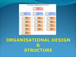 Oganisational design & structure | PPT