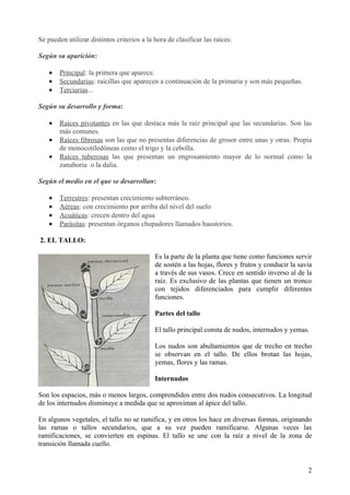 óRganos de las plantas | DOC