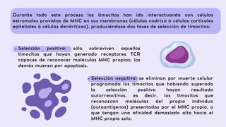 Órganos del sistema inmune. Inmunología. | PDF
