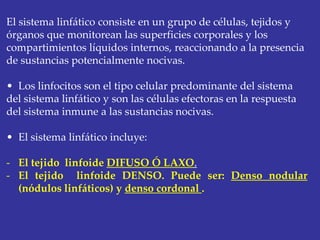órganos Y Tejidos Linfáticos