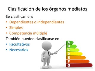 organos mediatos | PPTX