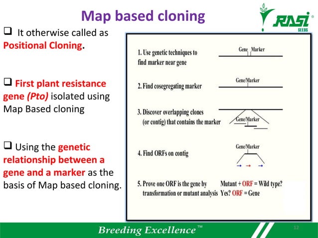 R genes in Plants | PPT | Agriculture | Industries