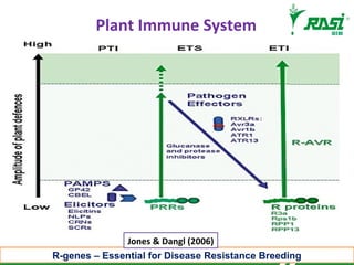 R genes in Plants | PPT