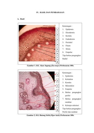 ORGANOLOGI_I-ORGANOLOGI-ORGANOLOGI.docx.docx