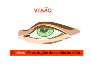 óRgãos dos sentidos | PPT