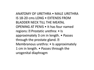 RGU and MCU by capt alauddin, MD phase A.pptx