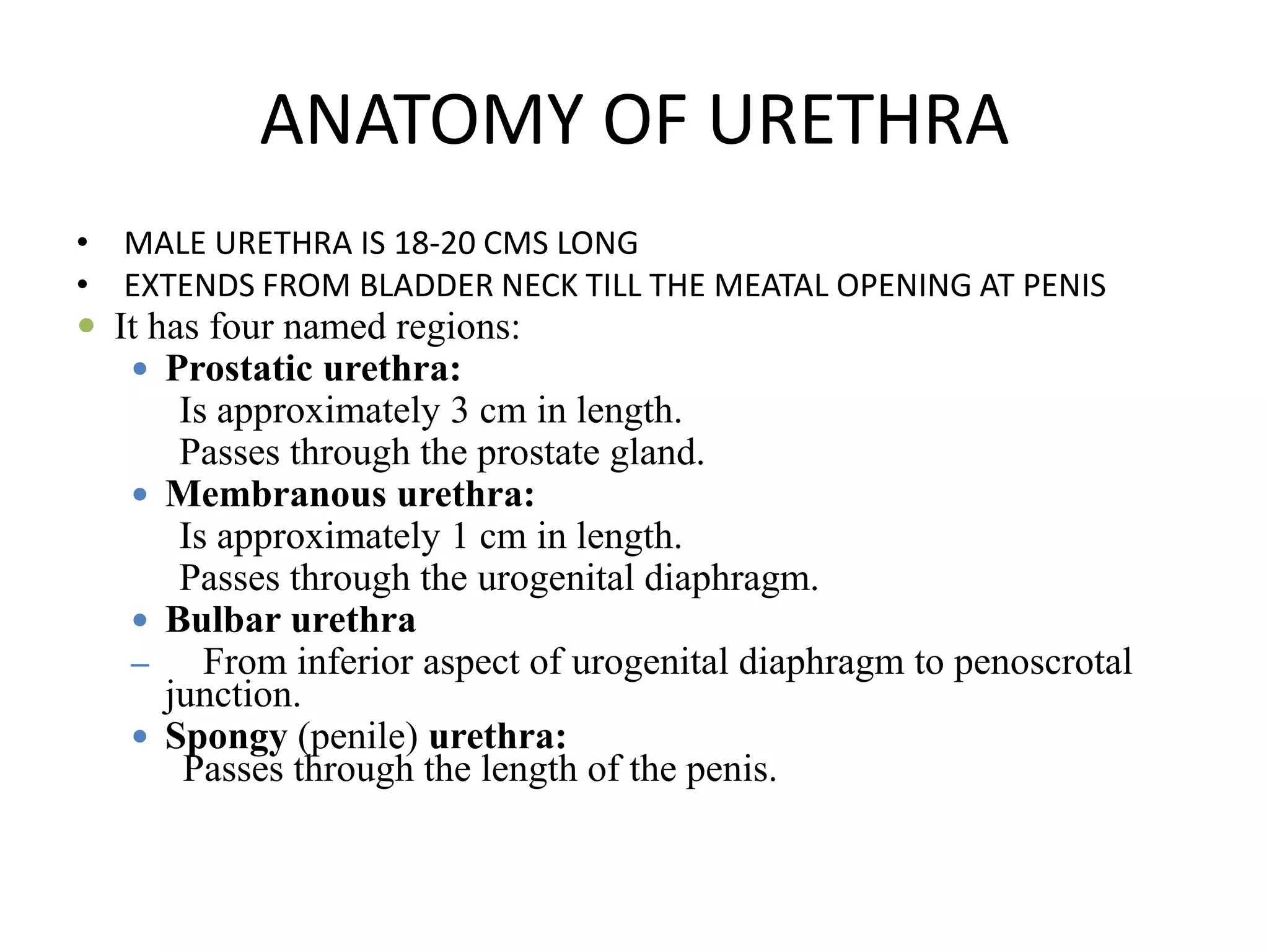 Rgu & mcu final presentation | PPTX