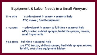 RGV_Starting a Vineyard_Management.pdf