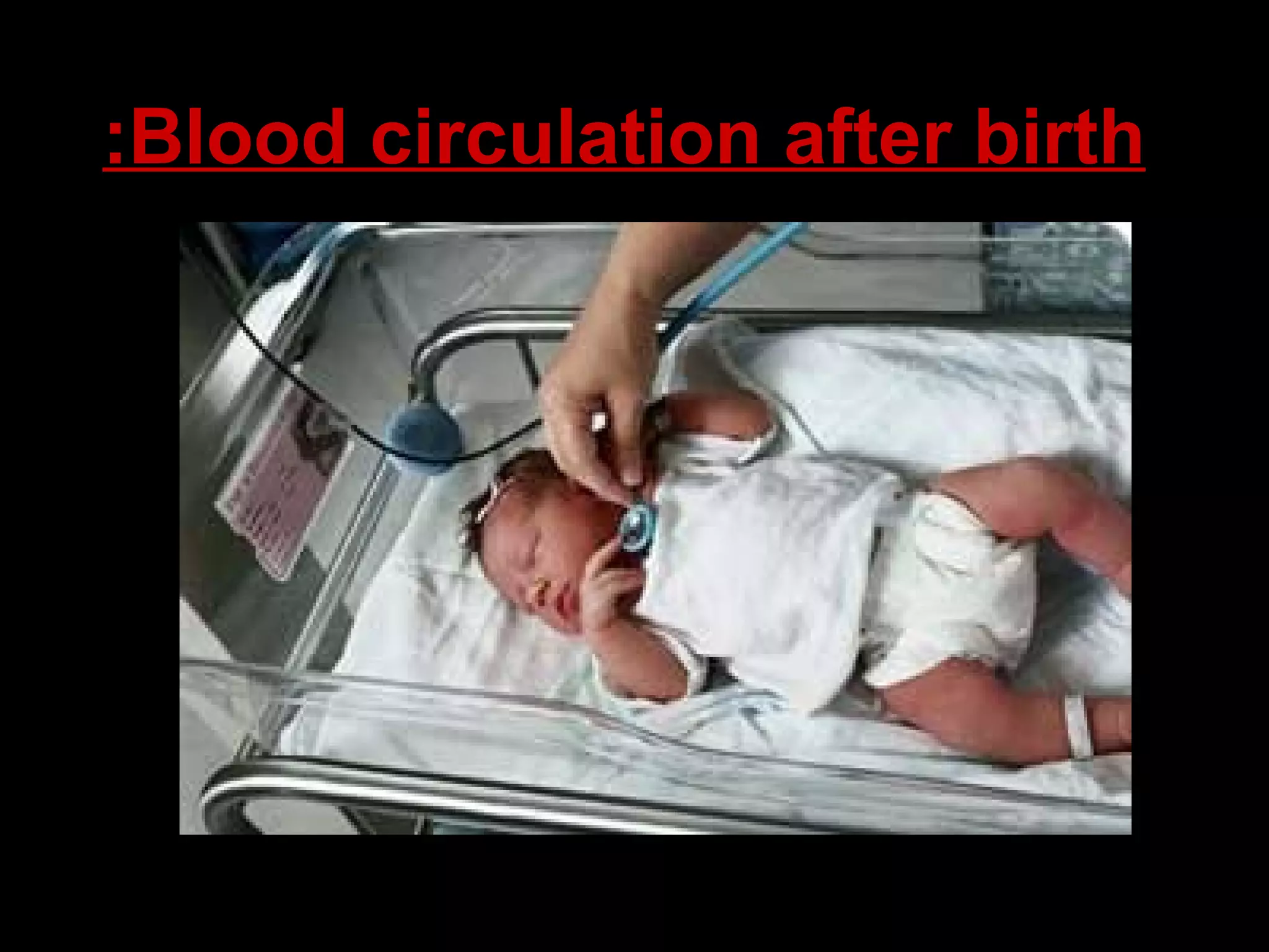 fetal circulation & Rh incompatibility | PPT