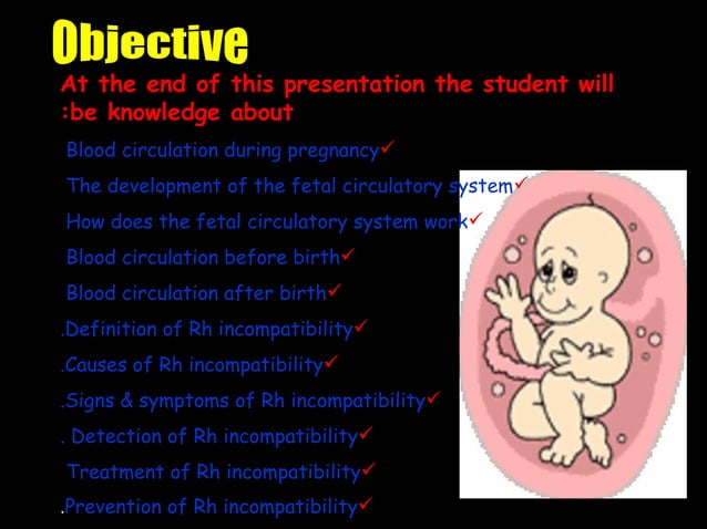 fetal circulation & Rh incompatibility | PPT