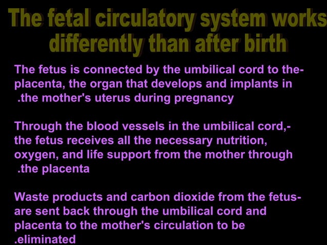 fetal circulation & Rh incompatibility | PPT