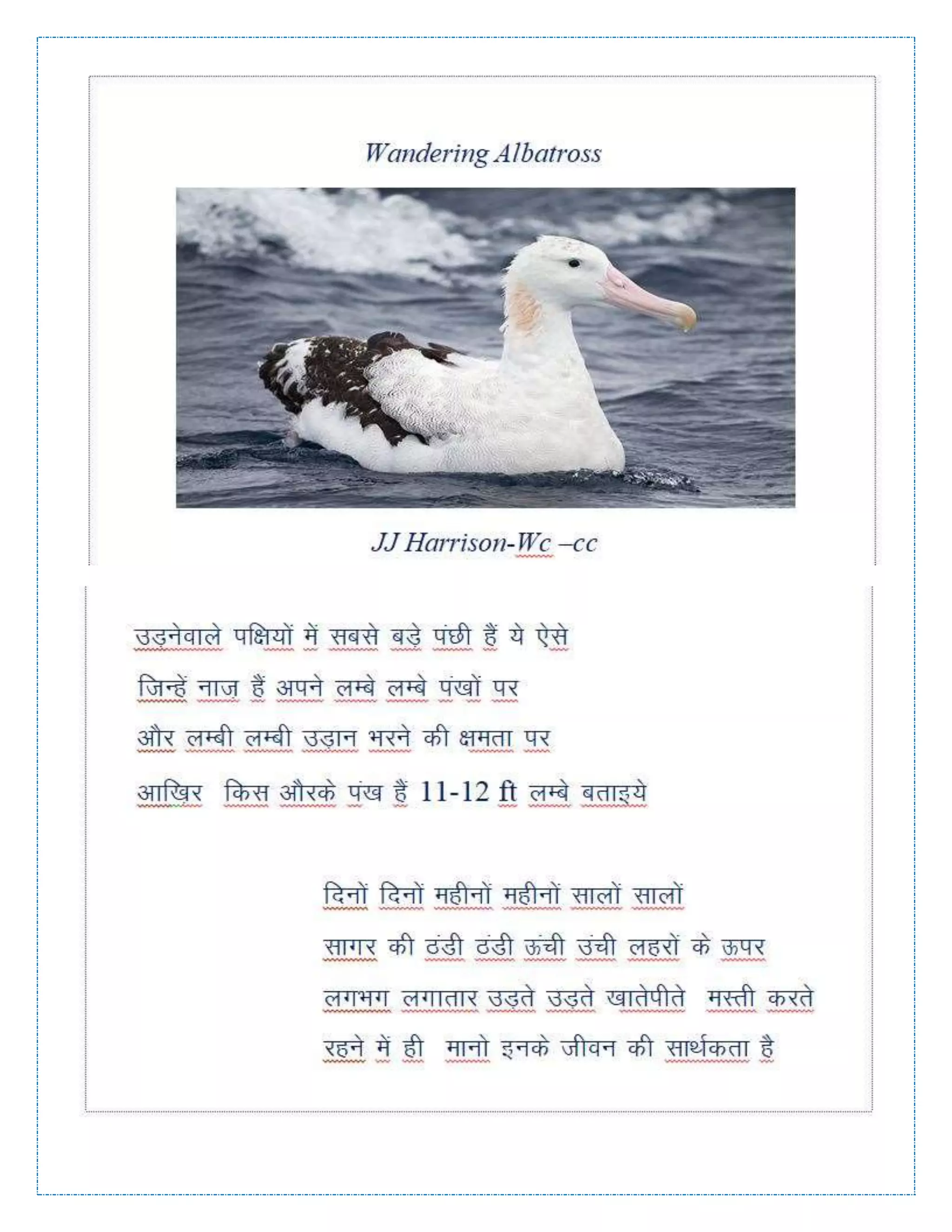 Record holding animals- Jeev jantuon ke karname- chapter 4 -Remarkable birds - Albatross - | PDF