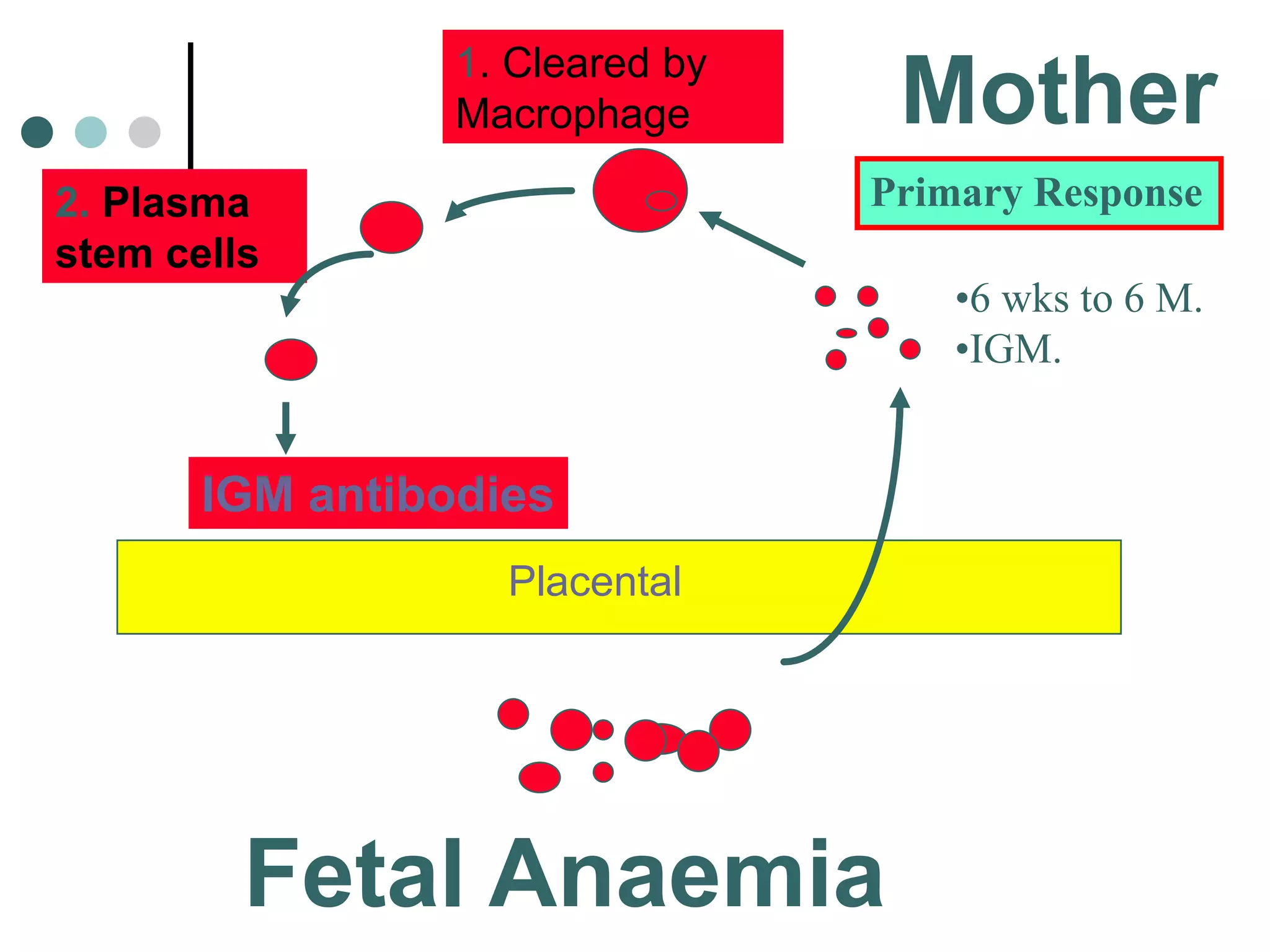 Rh isoimmunization | PPTX