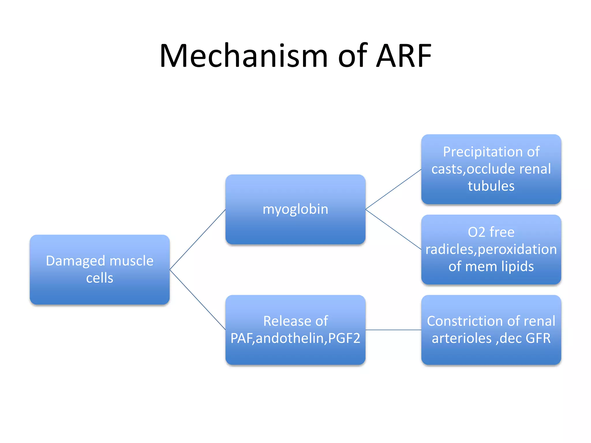 Rhabdomyolysis | PPTX
