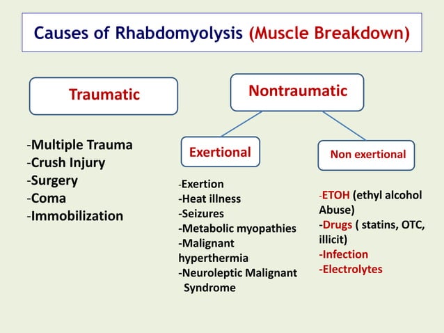 Rhabdomyolysis | PPTX | Heart and Cardiovascular Diseases | Diseases ...