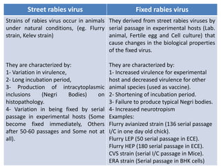 Rhabdoviridae. | PDF