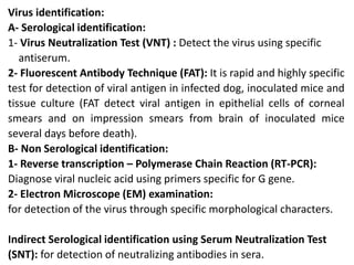 Rhabdoviridae. | PDF