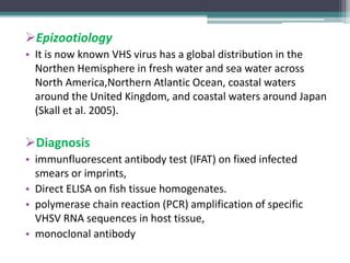 Rhabdoviridae viruses in fishes, ritesh | PPTX