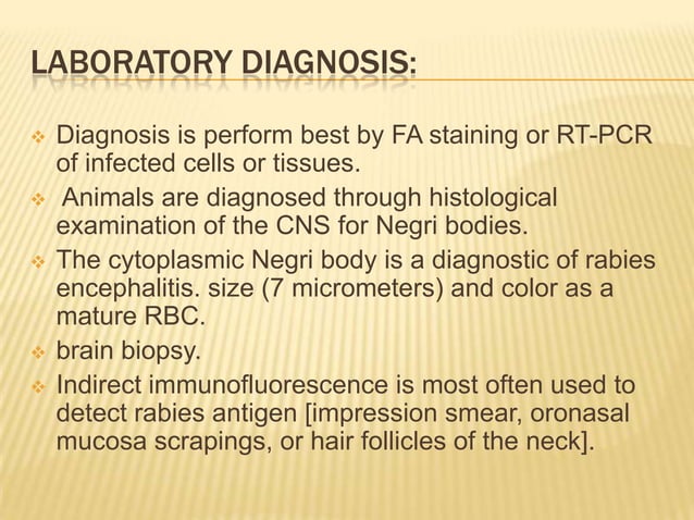 Rhabdo virus | PPTX | Infectious Diseases | Diseases and Conditions