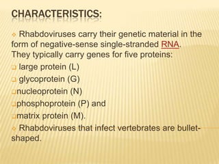 Rhabdo virus | PPTX
