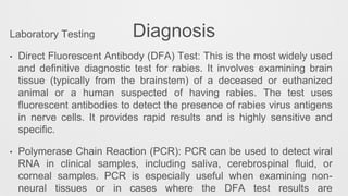 Rhabdo Virus.pptx
