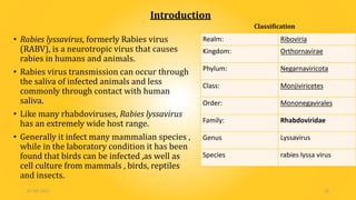 Rhabdovirus by rk taram | PPT