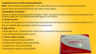 Rhabdovirus by rk taram | PPT