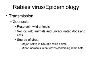 Rhabdoviruses | PPT