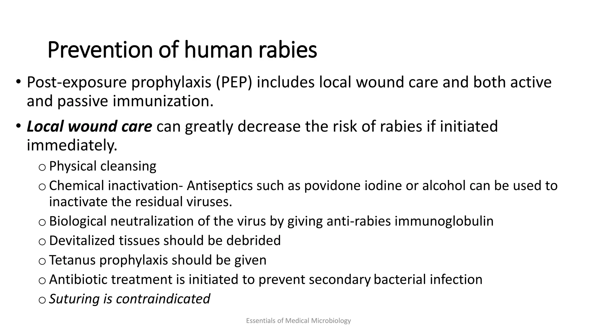 Rhabdo Viruses (Rabies virus) | PDF