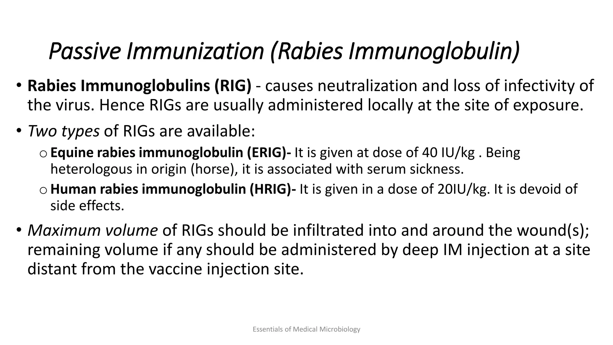 Rhabdo Viruses (Rabies virus) | PDF