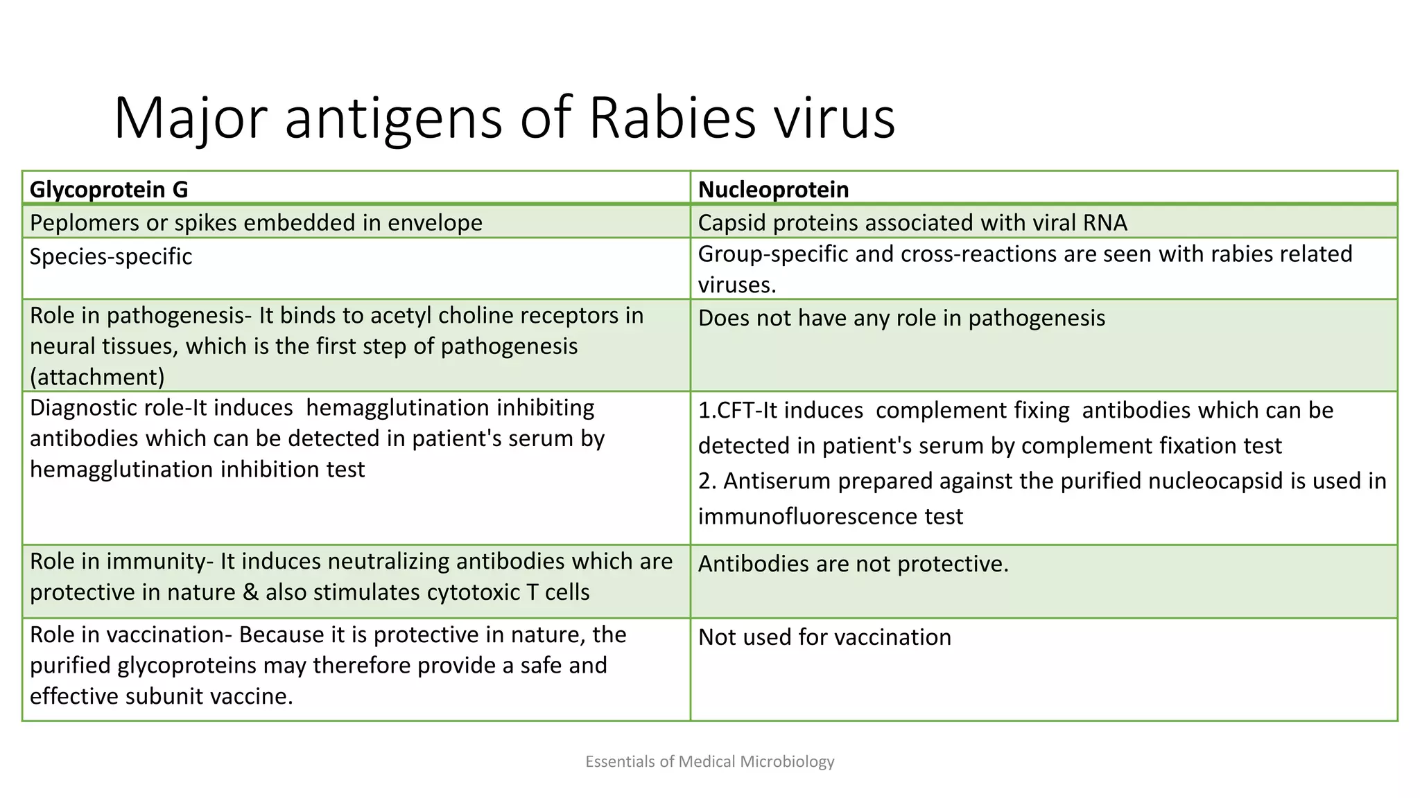Rhabdo Viruses (Rabies virus) | PDF