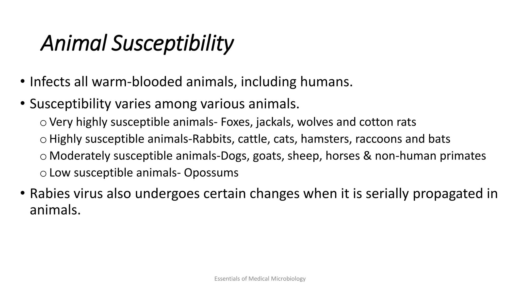 Rhabdo Viruses (Rabies virus) | PDF