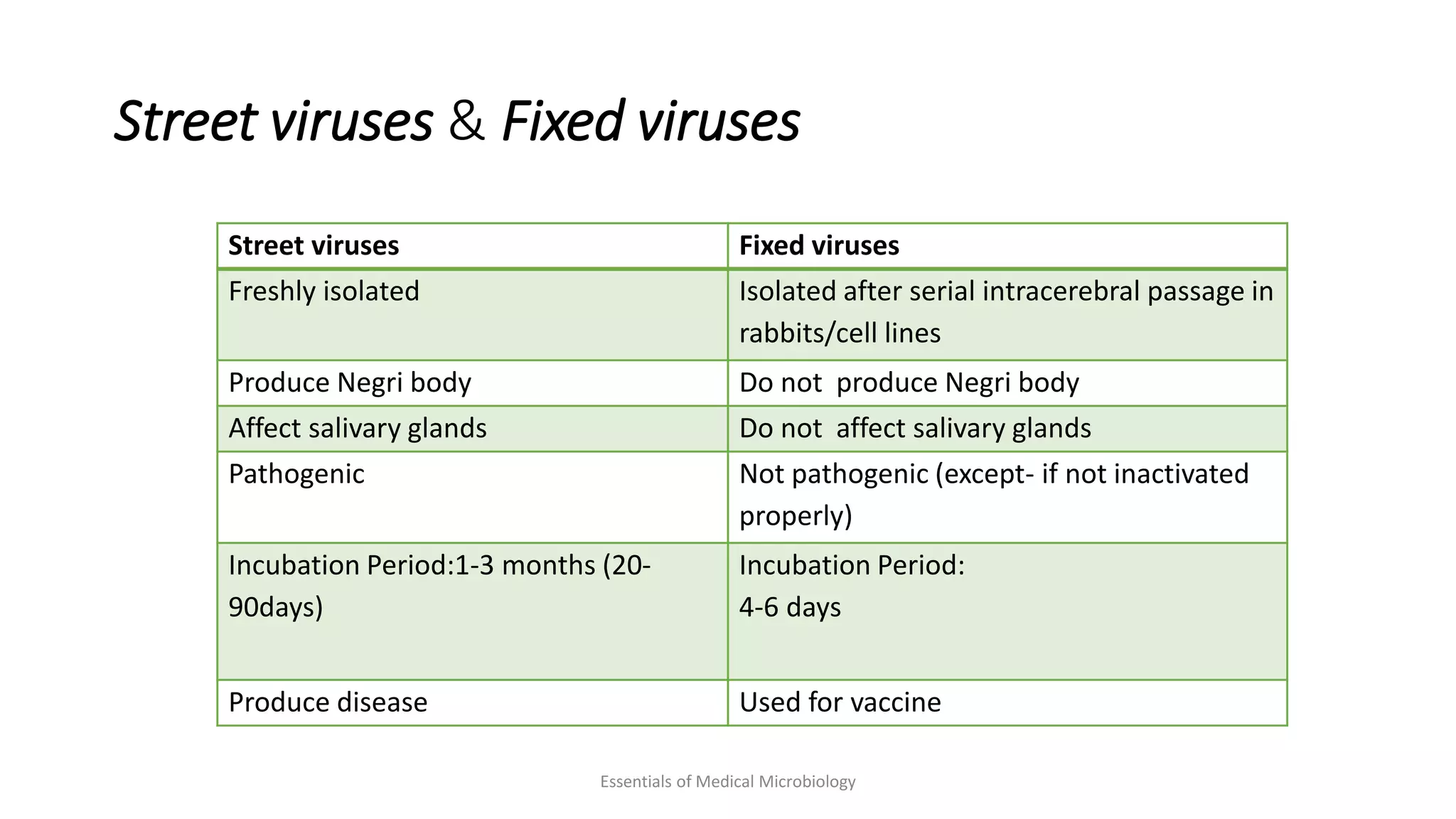 Rhabdo Viruses (Rabies virus) | PDF