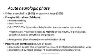 Rhabdo Viruses (Rabies virus) | PPT