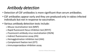 Rhabdo Viruses (Rabies virus) | PPT