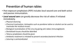Rhabdo Viruses (Rabies virus) | PPT