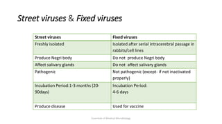 Rhabdo Viruses (Rabies virus) | PPT