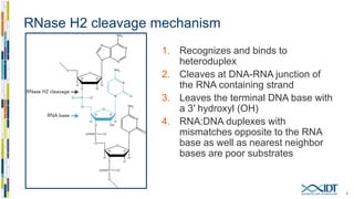 rhAmp™ SNP Genotyping: A novel approach for improving PCR-based SNP ...