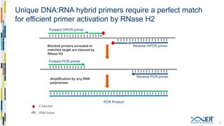 rhAmp™ SNP Genotyping: A novel approach for improving PCR-based SNP ...
