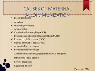 Rh antigens and its role in alloimmunization in pegnancy..ppt