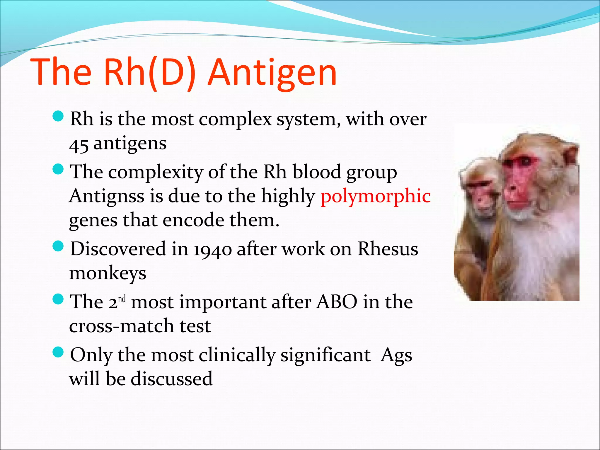Rh blood group ss | PPT