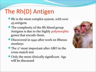 Rh blood group ss | PPT