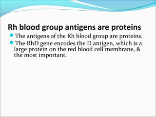 Rh blood group ss | PPT