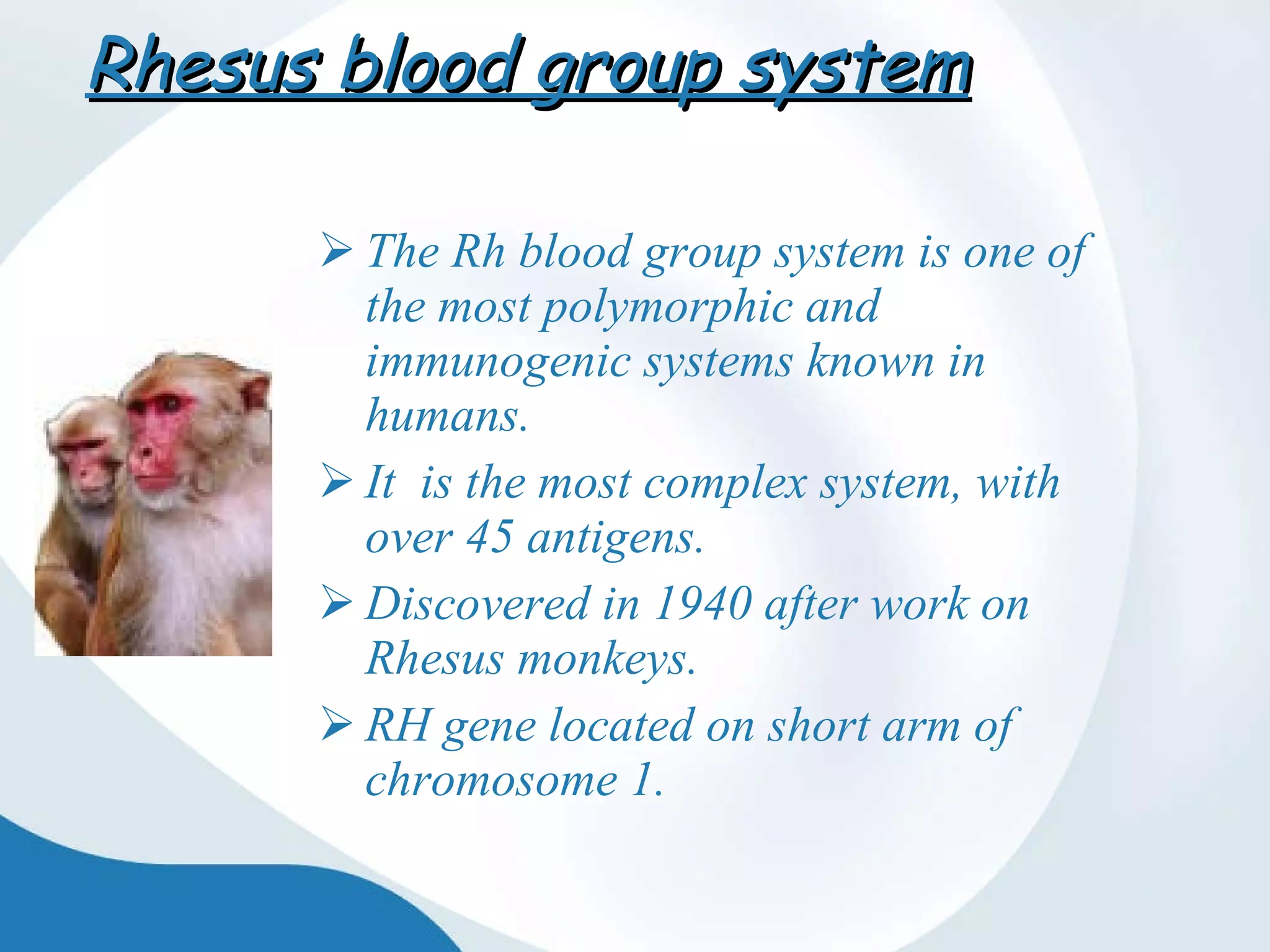 Rh Blood Group System | PPT