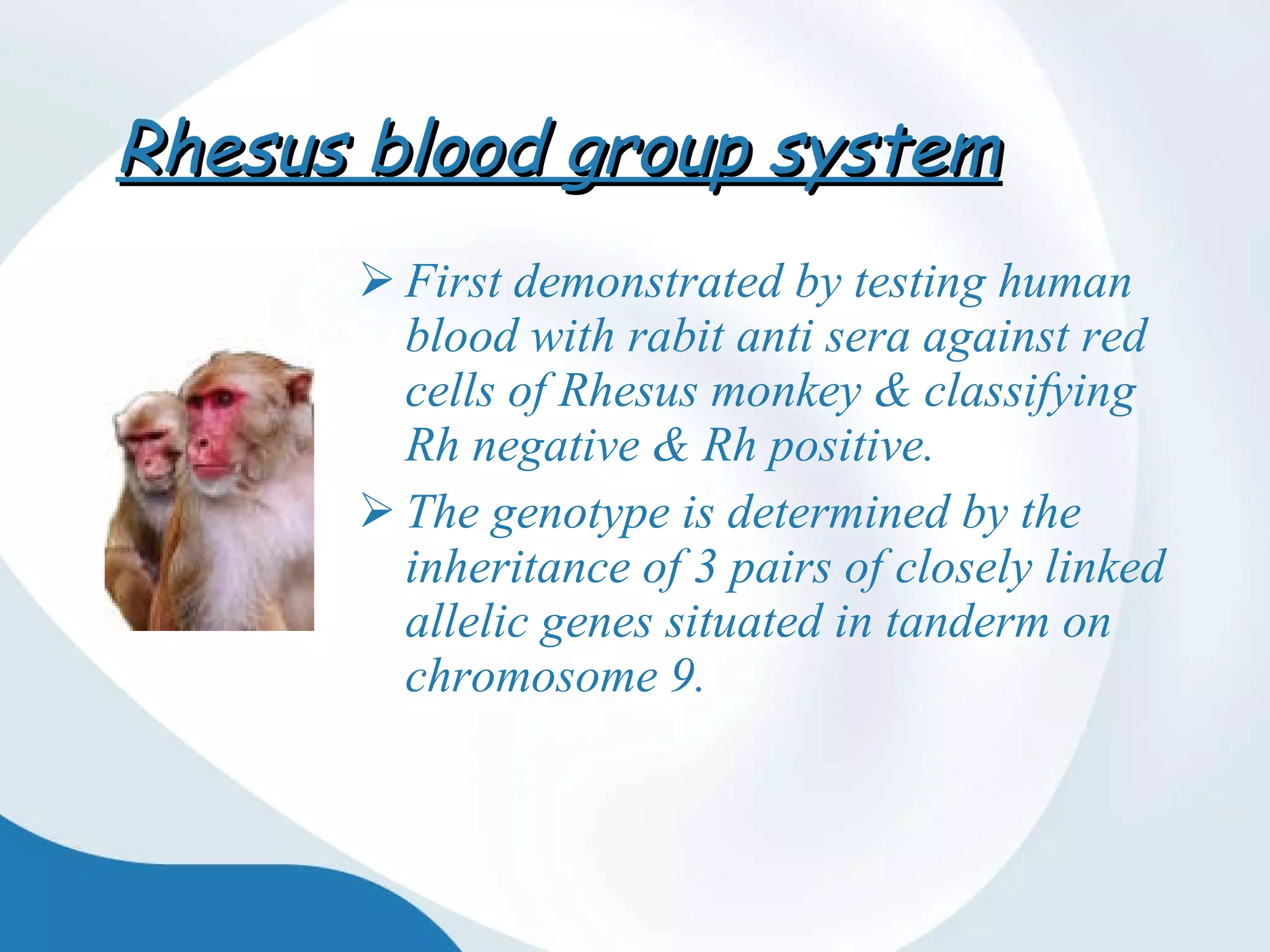 Rh Blood Group System | PPT