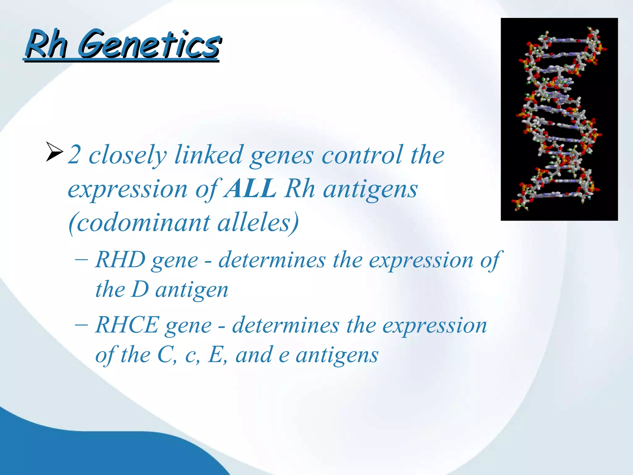 Rh Blood Group System | PPT